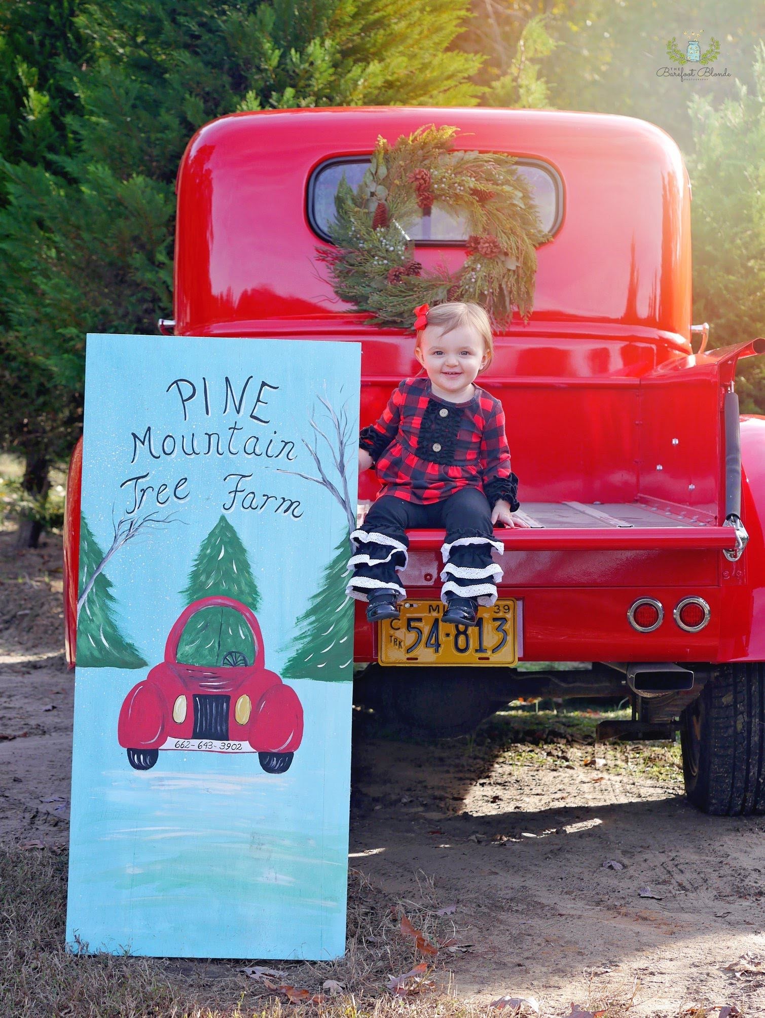 Pine Mountain Tree Farm – a family-owned choose-and-cut Christmas tree ...